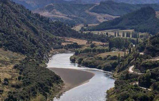 Te Awa Tupua