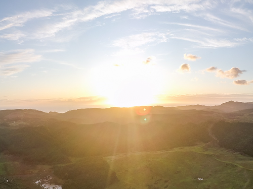 Ngā pūtea me ngā ratonga