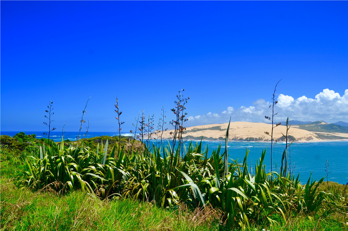 Te Ture Whenua Māori Act 1993