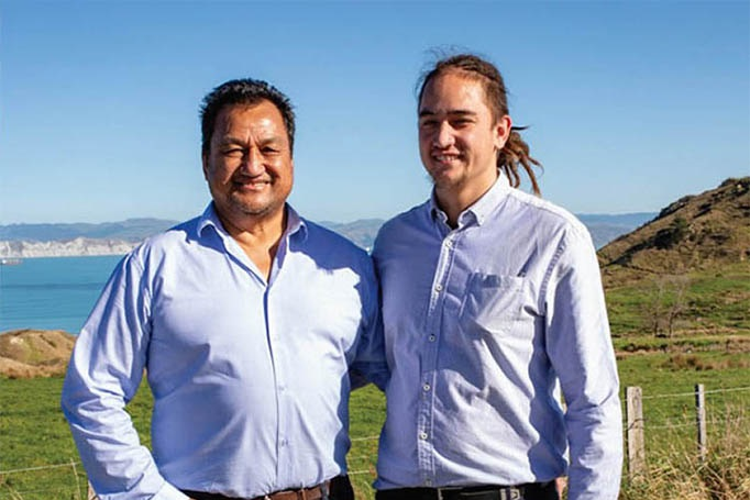 Te Ture Whenua Māori Act 1993