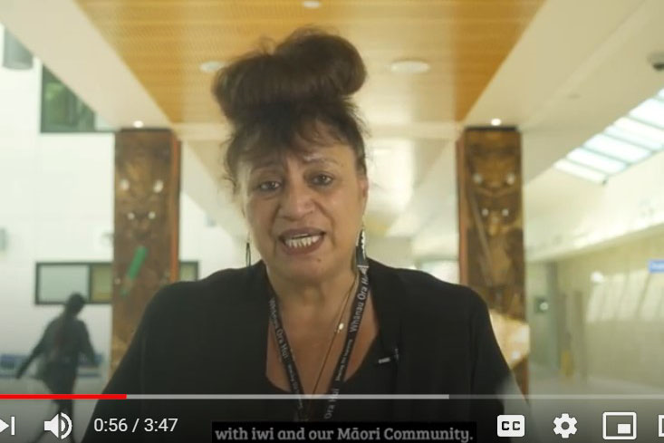 Case studies on Public Sector Effectiveness for Māori