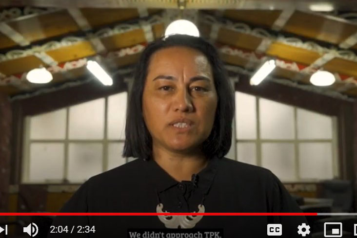 Case studies on Public Sector Effectiveness for Māori